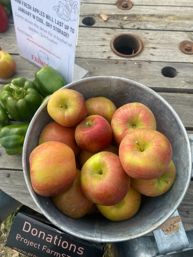 Evercrisp Apples- Half Bushel 20 LBS - Project Farm Stand